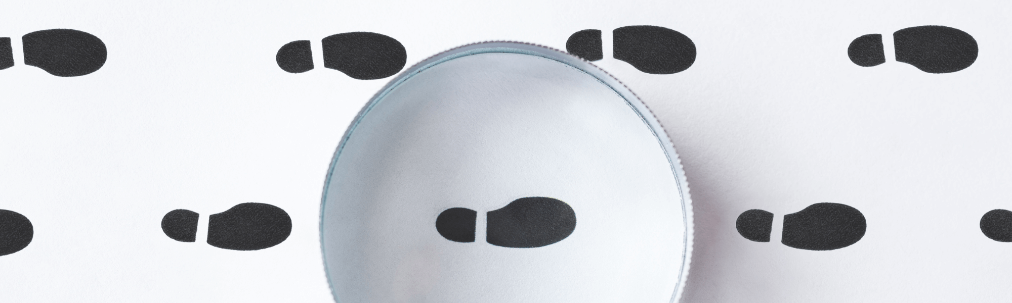 Is Digital Course Academy worth it? My take on Amy P.'s course!